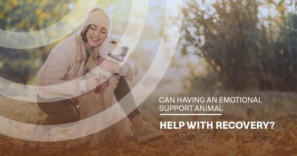 Emotional Support Animals & Recovery | Anchored Tides Recovery